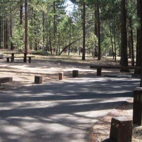 Mcgill Campground Camp One Parks Management Get Outdoors