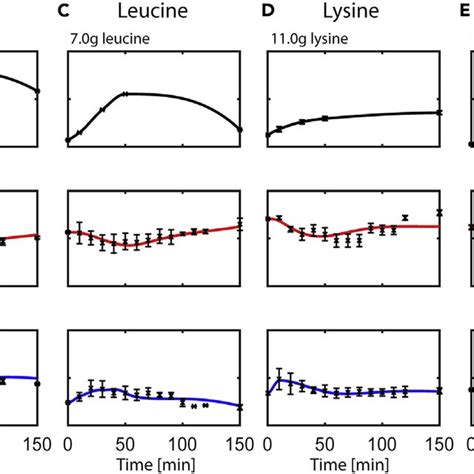 Plasma Glucose And Insulin Simulation Following Intake Of Different Download Scientific Diagram