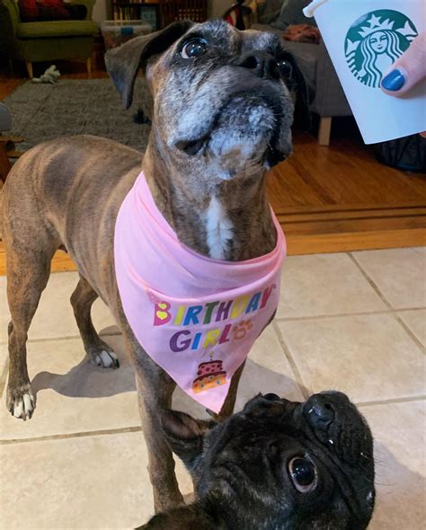 Caitlin Cantrell Philadelphia Pa