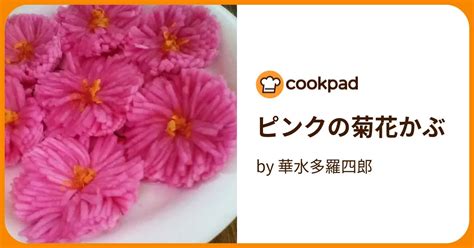 ピンクの菊花かぶ By 華水多羅四郎 【クックパッド】 簡単おいしいみんなのレシピが396万品