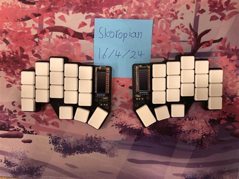 Wts Chocofi Rmkindia