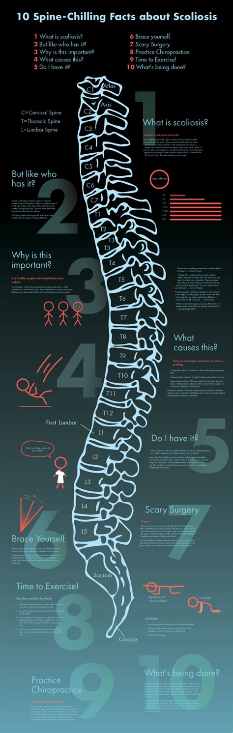 Scoliosis Poster Brochure Amenda Wong