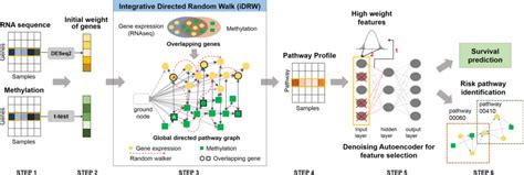 Overview Of The Proposed Integrative Pathway Based Survival Prediction Download Scientific
