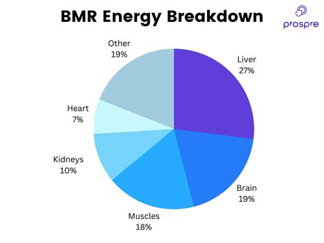 Bmr Calculator Macros At Lynn Sparks Blog
