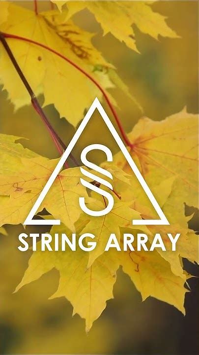 String Array 039 Teaser Shorts Youtube
