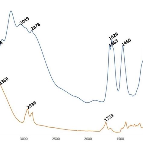 Ft Ir Spectra Of Sorbitol Orange And Modified Sorbitol Blue Download Scientific Diagram
