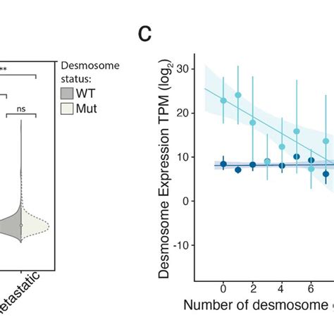 Single Cell Analysis Of Desmosome Gene Expression In Human Melanomas