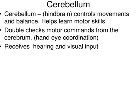 Nervous System Structures Ppt Download