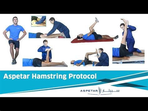 Eccentric Hamstring Exercises Pdf EOUA Blog