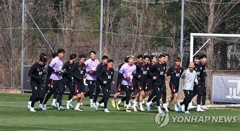 오전 훈련 시작한 대한민국 축구대표팀 연합뉴스