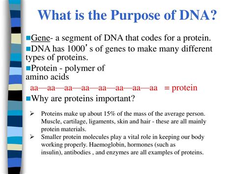 Ppt Ch 12 Dna And Rna Powerpoint Presentation Free Download Id 5711077