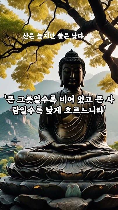 명언부처님말씀부처님의가르침좋은글마음의소리로쓰는글 Youtube