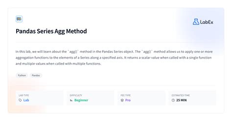 Pandas Series Agg Method Labex