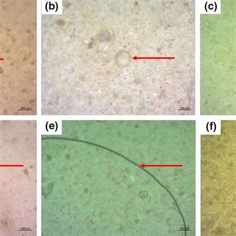 Raman Spectroscopy Spectra Of The Selected Microplastics Collected In