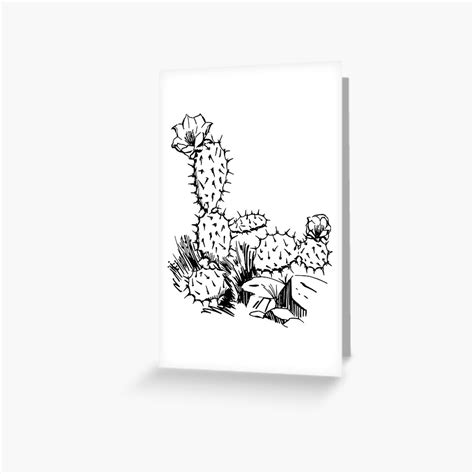 Black And White Prickly Pear Cactus Plant Sketch Greeting Card For Sale