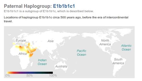 Paternal Haplogroup Languages Of The World