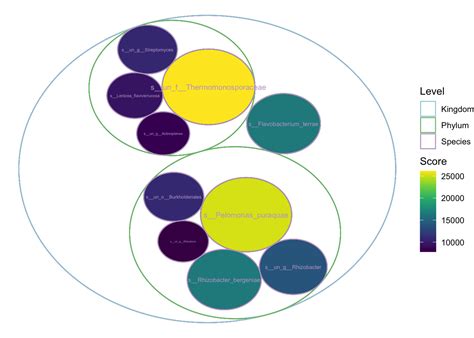 R展示层级数据（桑基旭日珠包treemap图等）