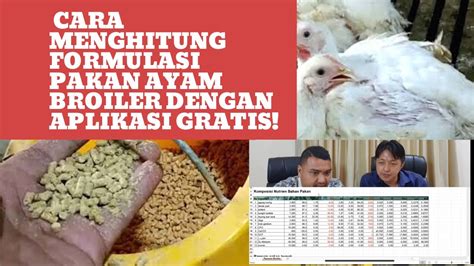 Cara Mudah Menghitung Kebutuhan Pakan Ayam Broiler Yang Efisien Youtube