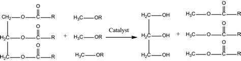 General Reaction Scheme For Transesterification Download Scientific