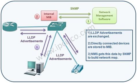 neighbour discovery protocols part 2 lldp ⋆ ipcisco