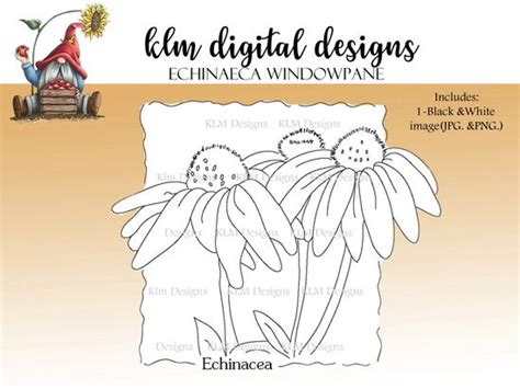 ぬりえ9月 かえちゃびのぬりえカレンダー 秋 塗り絵 かわいいスケッチ 塗り絵 秋