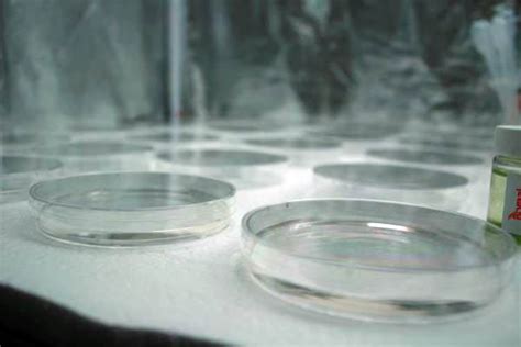 Algae Research Lab Inventgeek