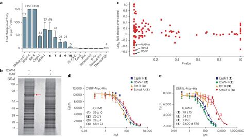 Osbp And Orp4l Are High Affinity Receptors Of Orpphilins A Download Scientific Diagram