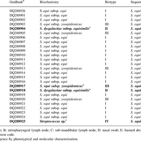 Phenotypical And Genotypic Profile Of Streptococcus Strains Isolated Download Table