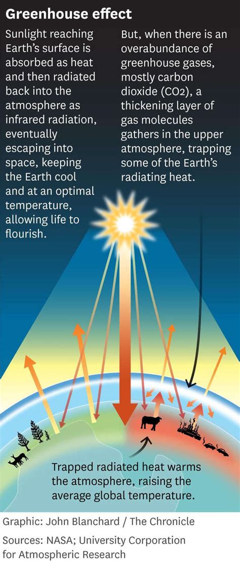 Greenhouse Emissions Explained At Edward Johns Blog