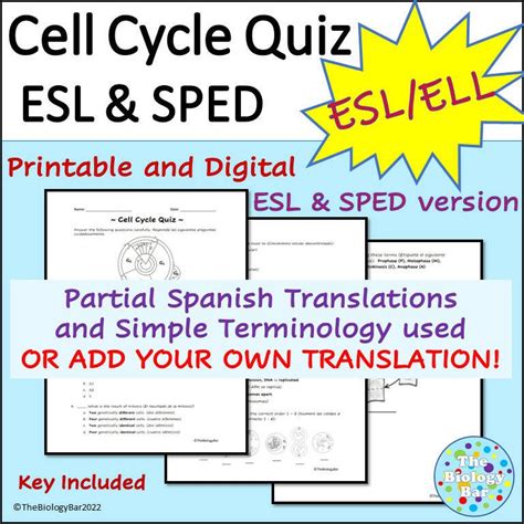 Biology Cell Cycle Mitosis Quiz Bilingual Marketplace