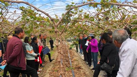 授人以鱼不如授人以渔！农民培训助力乡村致富路