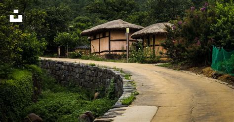 양쪽에 풀과 나무가있는 비포장 도로 사진 Unsplash의 무료 고성군 이미지