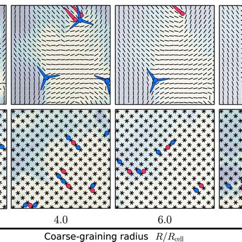 Orientational Order Parameter At Different Length Scales Nematic A