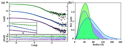 Saxs Data From Epac1 A Log Log Plots Of The Saxs Data Points With Download Scientific