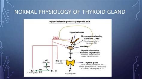 THYROID FUNCTION TEST PPTX