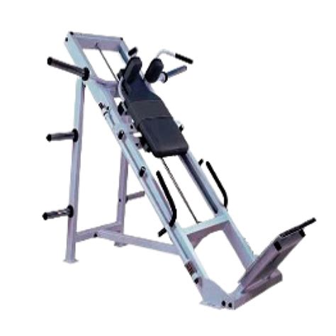 Hack Squat Application Tone Up Muscle At Best Price In Meerut Jsd Sports And Fitness Products