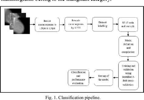 Figure 1 From Classification Of Breast Cancer Mammographic Images Using A Light Weighted