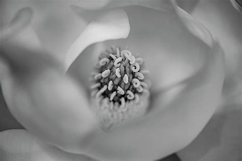 Sensual Photograph By Lendon Fine Art America