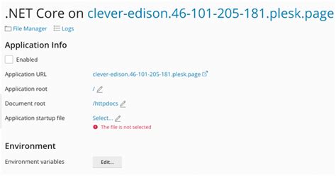 Net Application Hosting In Plesk Plesk