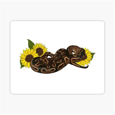 Ball Python Sunflower Sticker For Sale By Zareptiles Redbubble