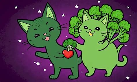 ¿los Gatos Pueden Comer Brócoli Beneficios Y Recomendaciones