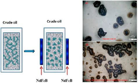 Left Effect Of Magnetic Field On The Microstructure Of Crude Oil Download Scientific Diagram