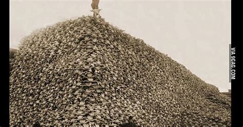 Rare Photographs Imgur