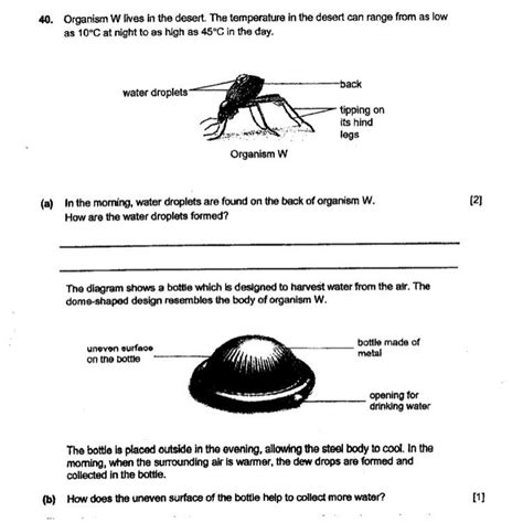 Psle Science Adaptations Hobbies And Toys Books And Magazines