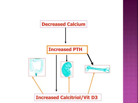 Rickets Clinical Features Pptx