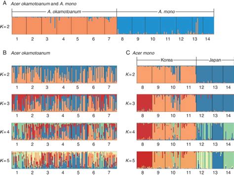 Results Of Bayesian Clustering Structure Pritchard Et Al 2000 Of Download Scientific