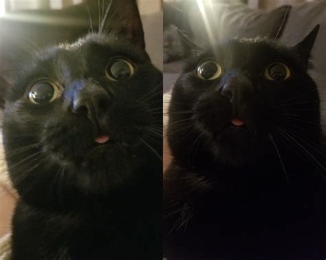 Smol Mlep Scrolller