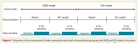 Figure 1 From Effects Of Right Ventricular Pacing Sites On Blood
