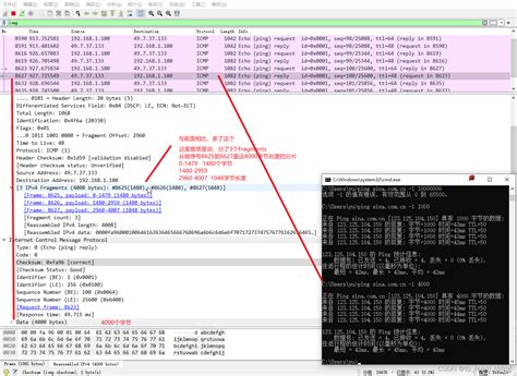 实验：ip 与 Icmp 分析ip与icmp数据报分析实验 Csdn博客