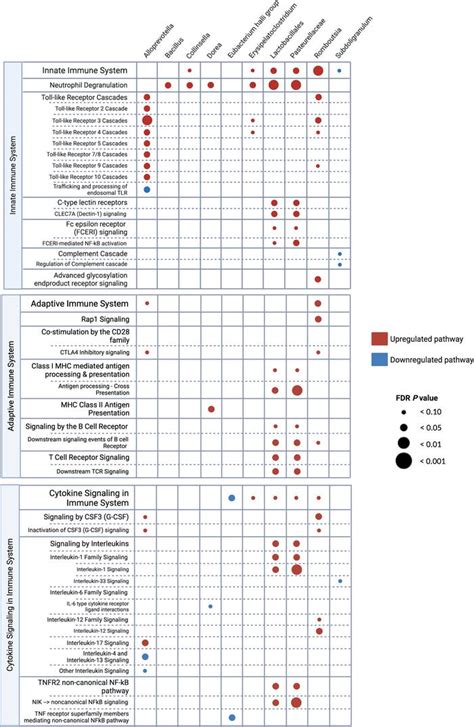Jci Insight Integrated Analysis Of Rectal Mucosal Microbiome And